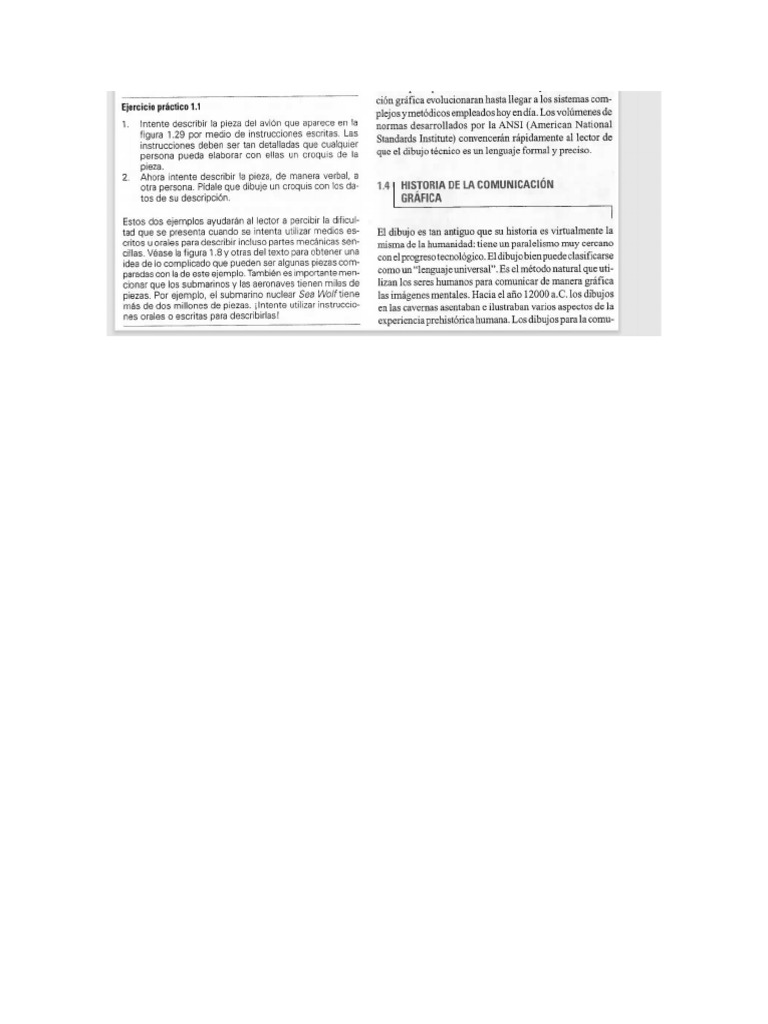 CAPITULO 1 HISTORIA | PDF