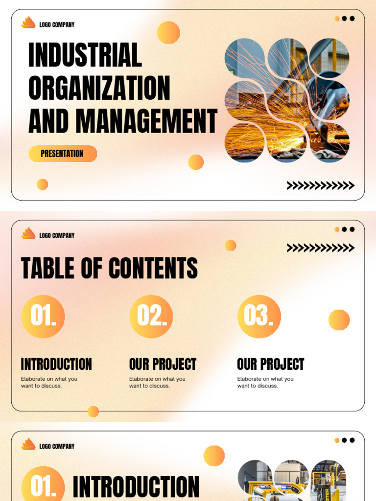 Industrial Organization Presentation | PDF | Sustainability | Creativity