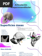 Fosa Pterigoidea y Pterigopalatina | PDF | Sistema esquelético ...