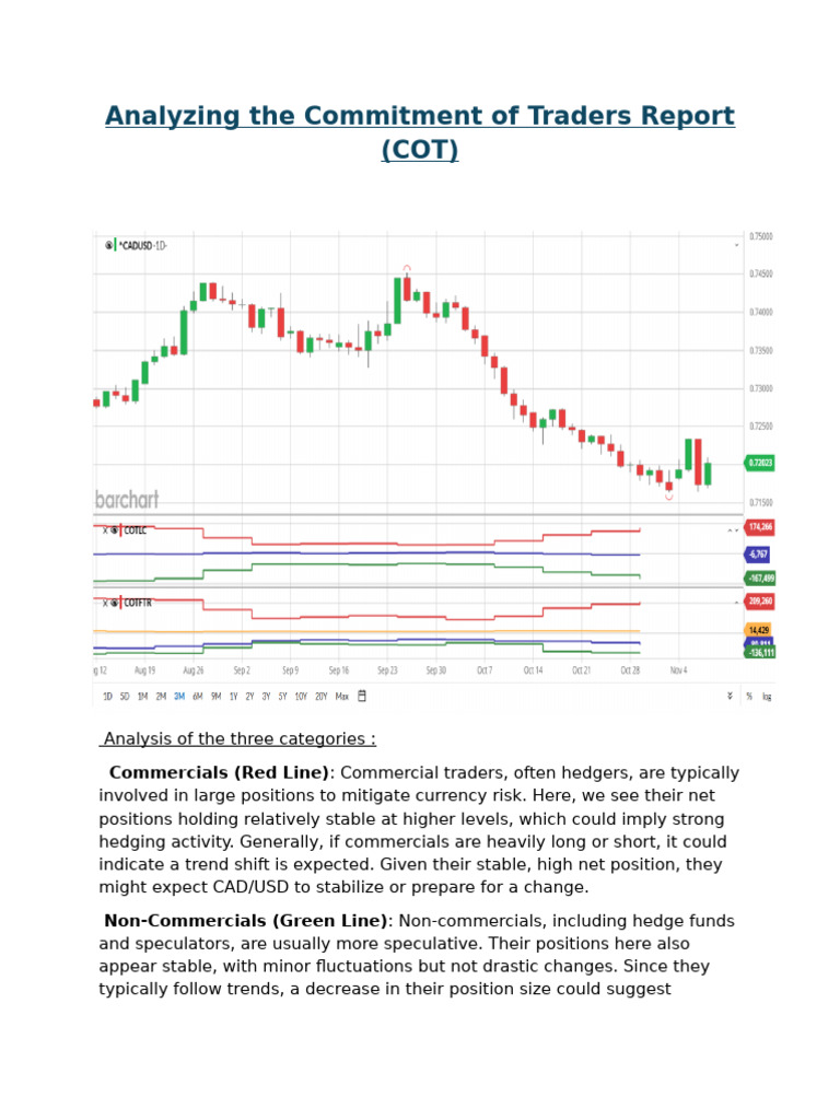 COT assignment | PDF | Hedge (Finance) | Speculation