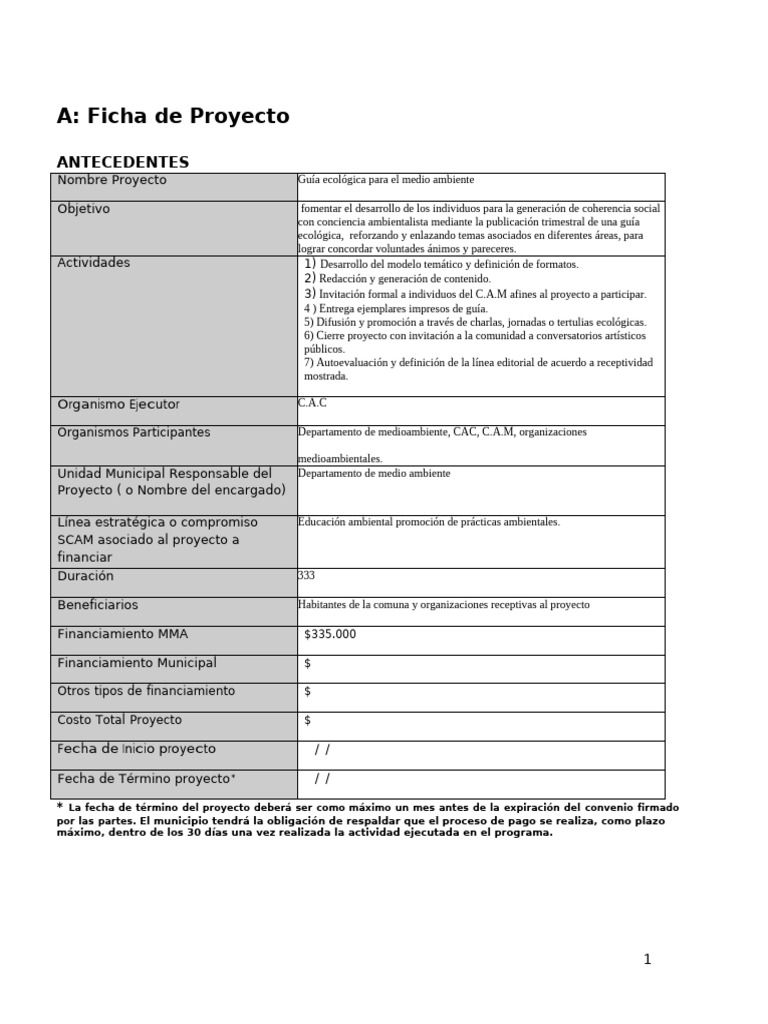 Formato Fichas de Proyecto CAC | PDF
