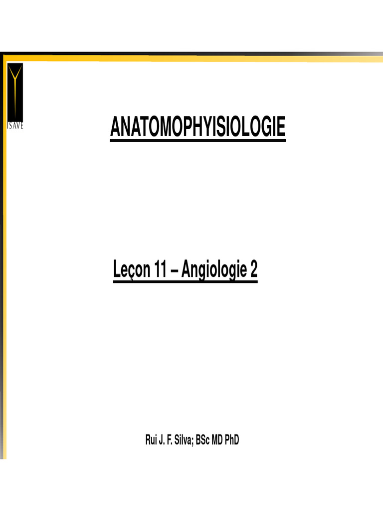 Cours d'Angiologie : Système Veineux | PDF | Foie | Cou