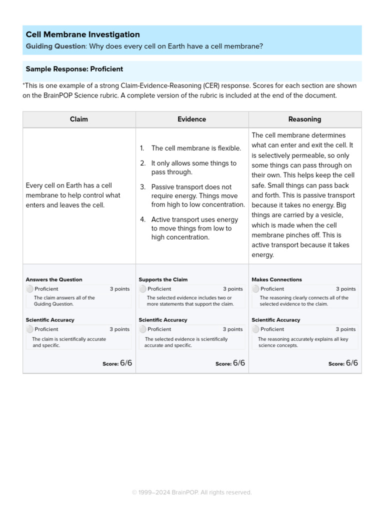 Cell Membrane Exemplar CER | PDF | Cell Membrane | Cell (Biology)