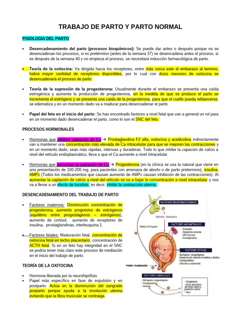 Trabajo de Parto y Parto Normal | PDF | Parto | Especialidades Medicas