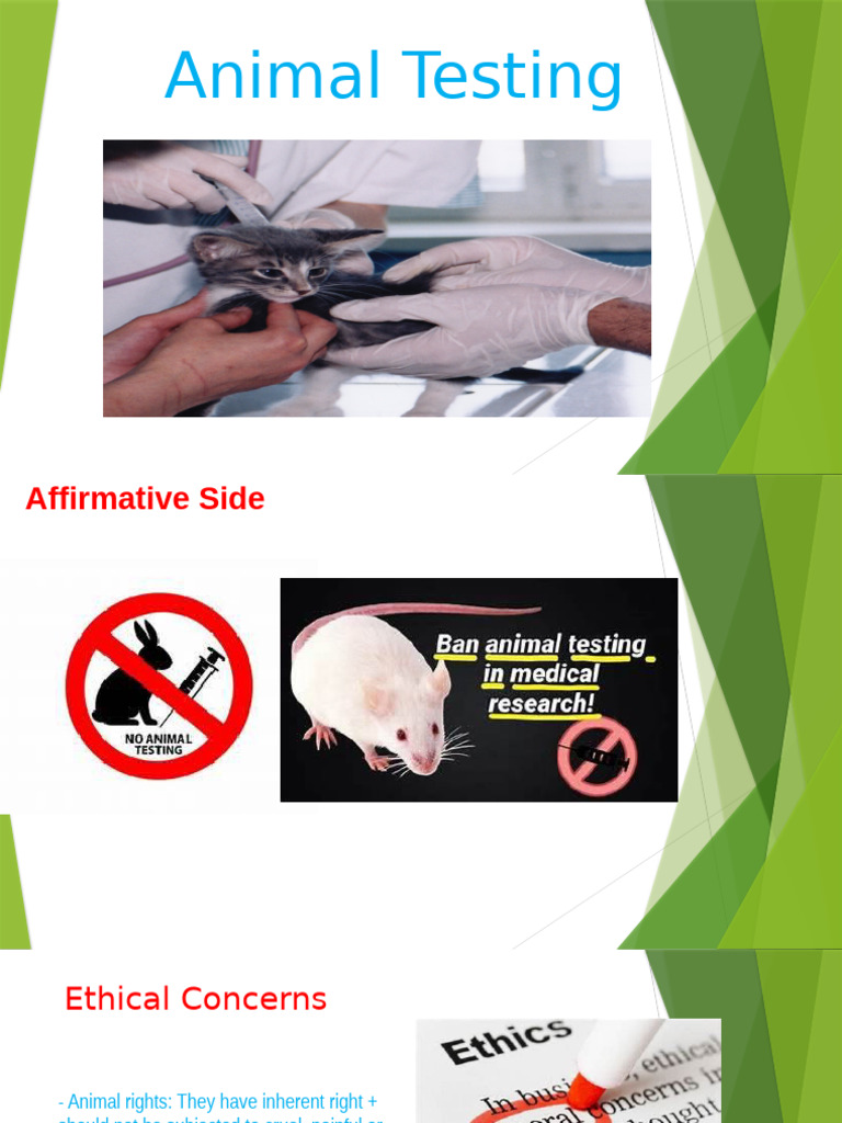 Animal Testing | PDF