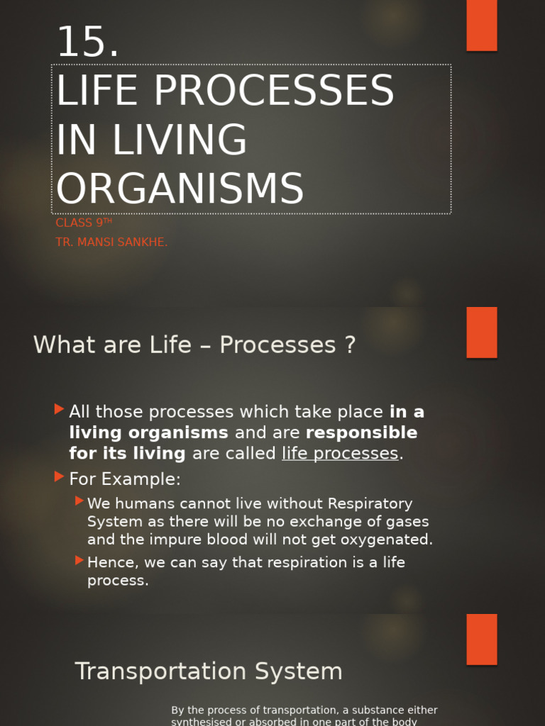 Life Processes | PDF | Central Nervous System | Neuron