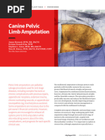 Canine and Feline Tail Amputation: Clinical Techniques | PDF | Surgery ...
