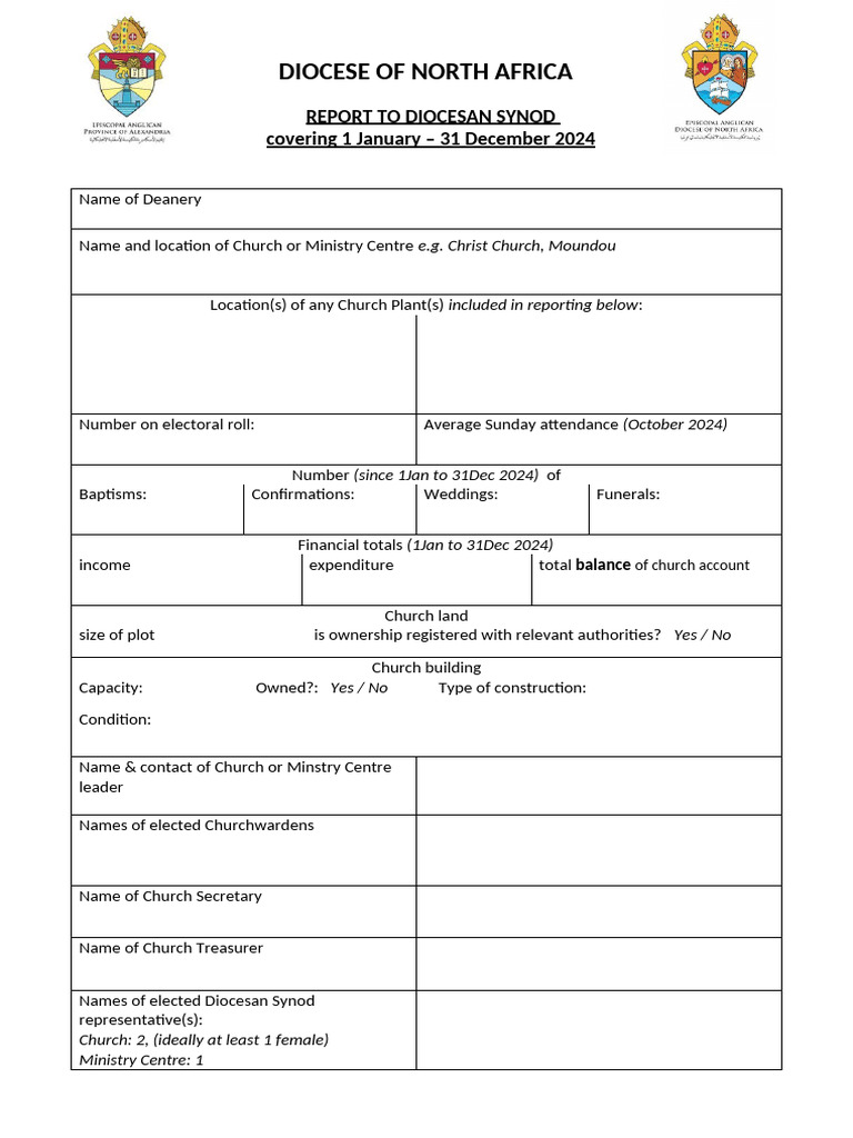 2025 DNA Synod Report Template (Covering 2024) | PDF