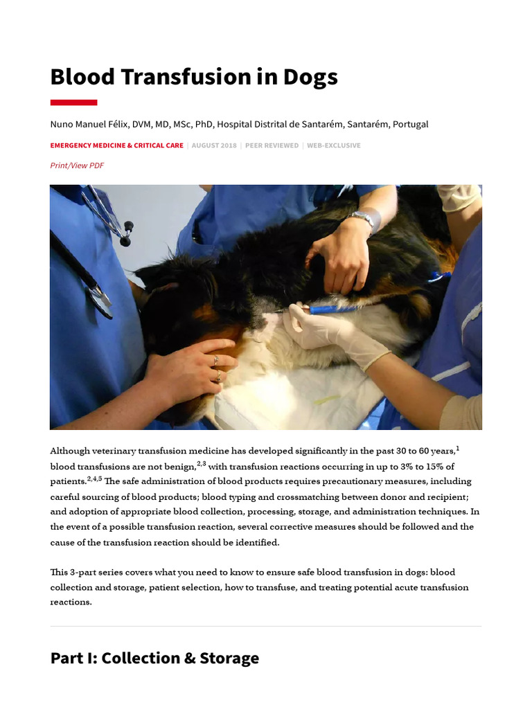 Canine Blood Transfusion Protocols | PDF | Blood Transfusion | Platelet