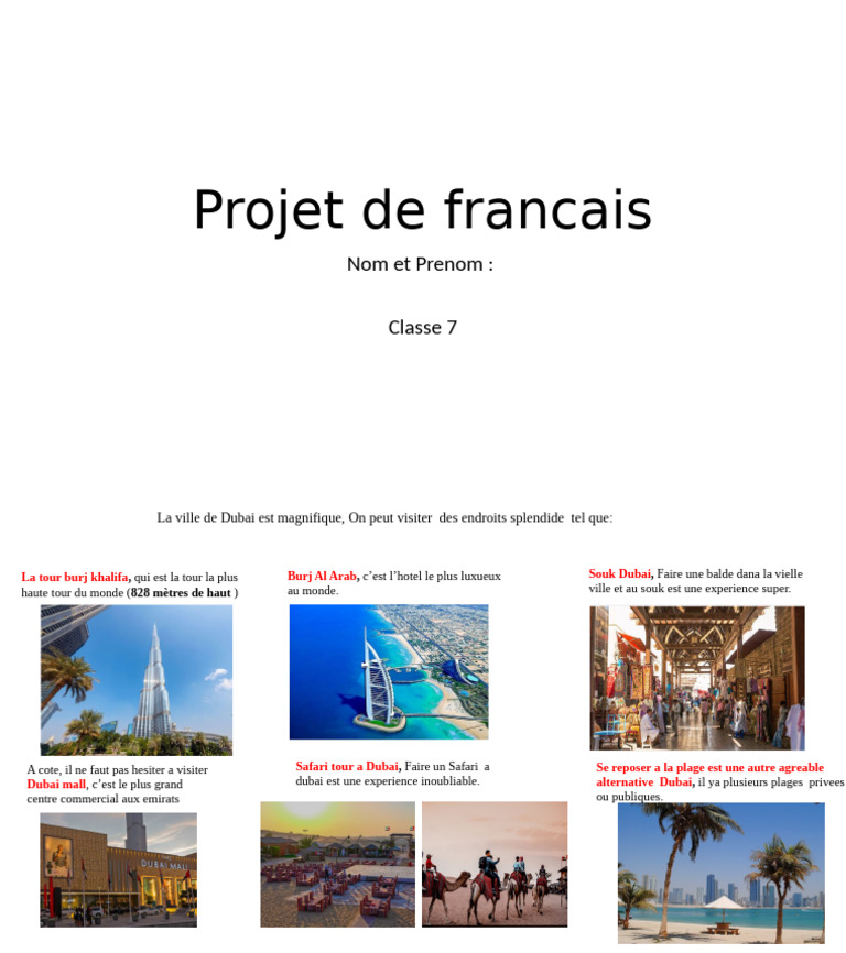 Projet de Francais | PDF