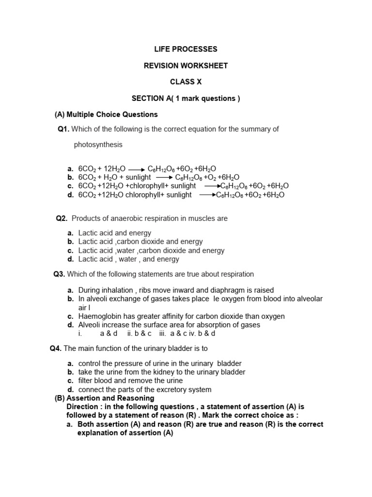 Worksheet Life Processes Class X 2 | PDF | Heart | Stomach