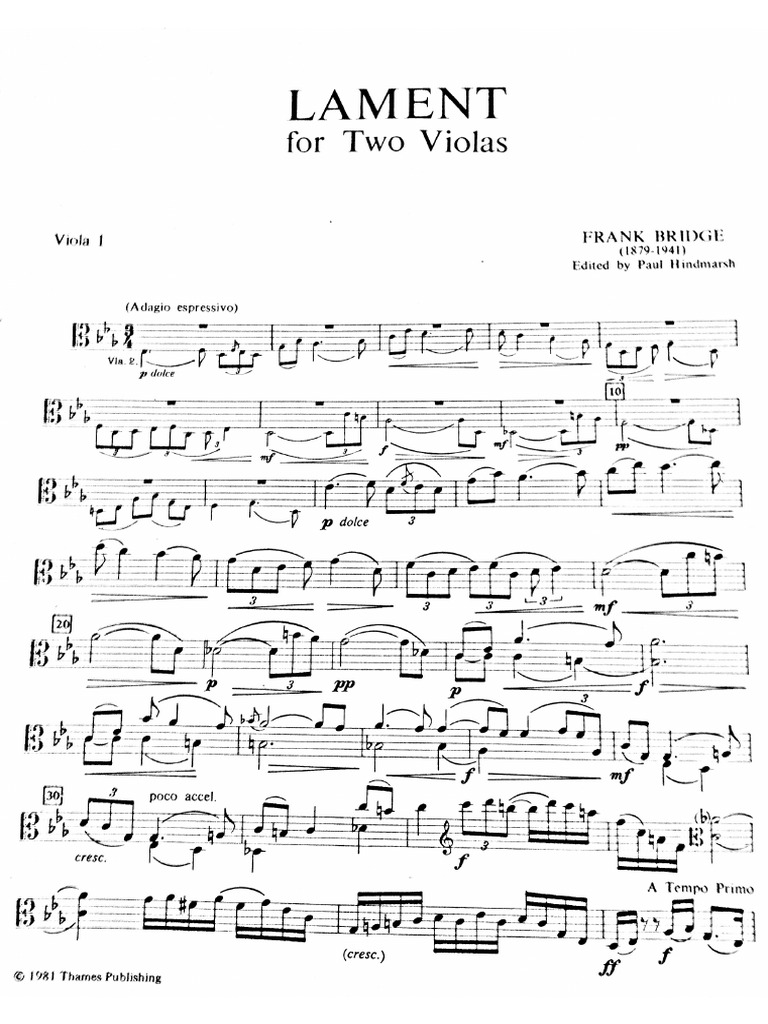 Bridge Lament For 2 Violas | PDF
