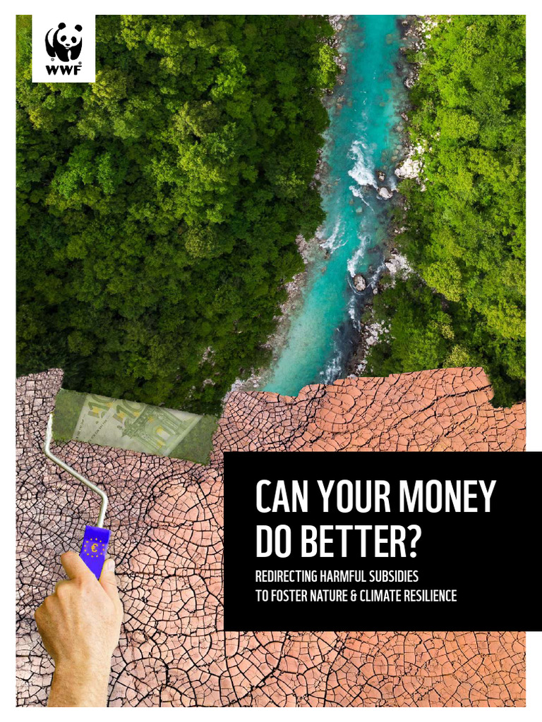 WWF - Harmful-Subsidies-Report - Full-Report | PDF | Cost Of Living ...