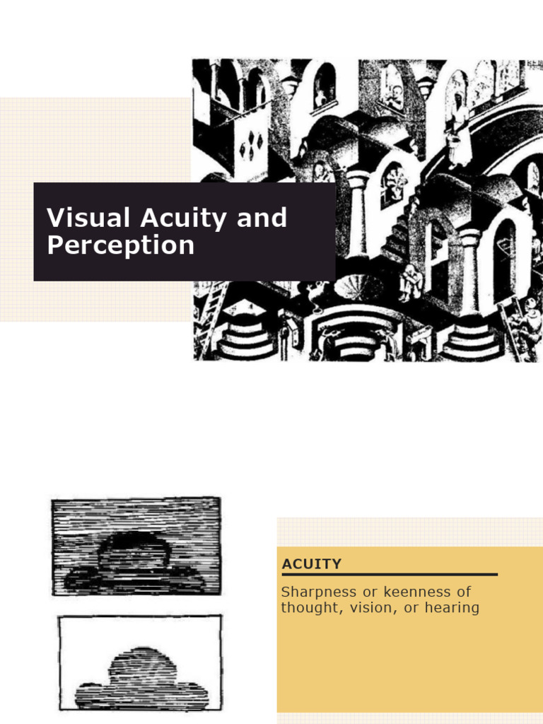 Visual Acuity in Architectural Perception | PDF | Perception | Visual ...