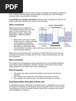 Onion Cell - LAB 5 REPORT | PDF | Osmosis | Applied And ...