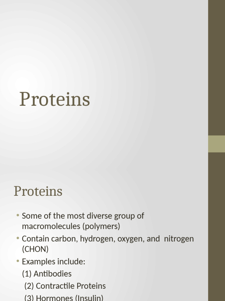 Proteins - Standard Class | PDF | Proteins | Enzyme