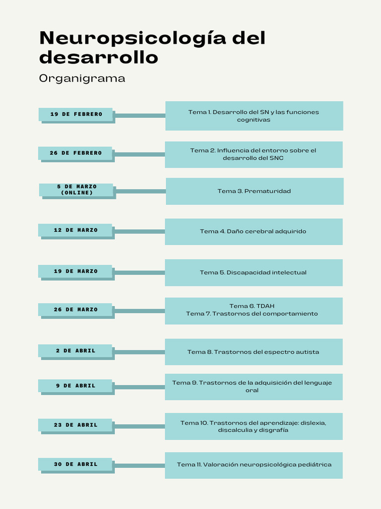 Organigrama NPD | PDF