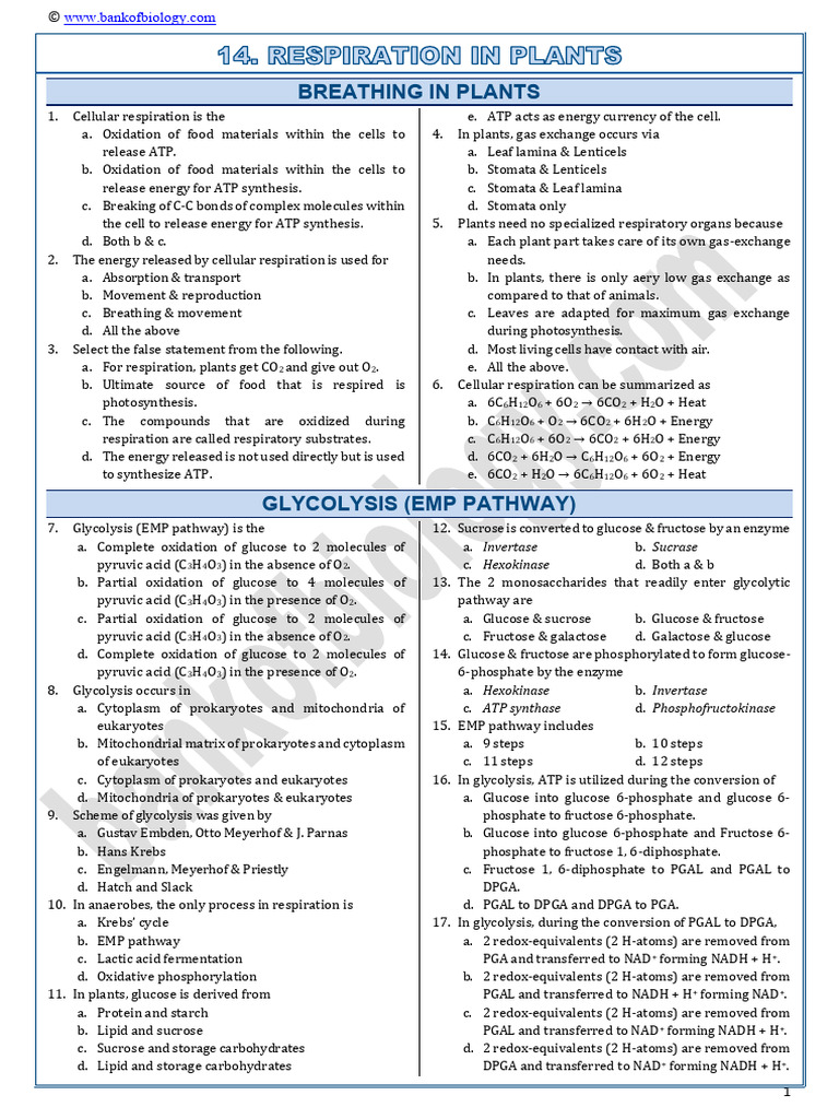14 Respiration in Plants - Entrance Questions N Answers | PDF ...