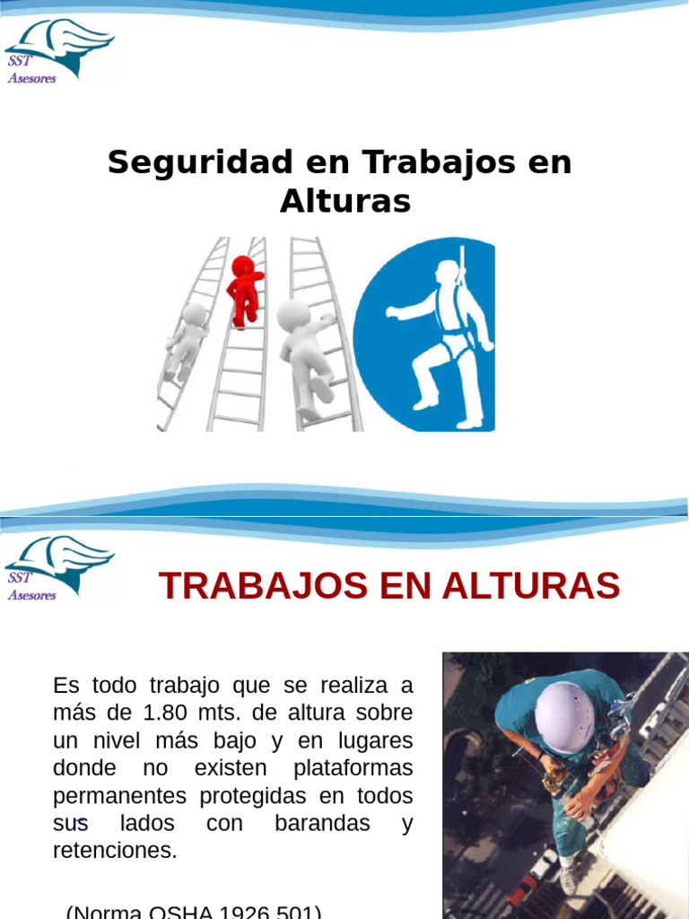 Seguridad en Trabajos en Alturas | PDF | Escalera | Andamio