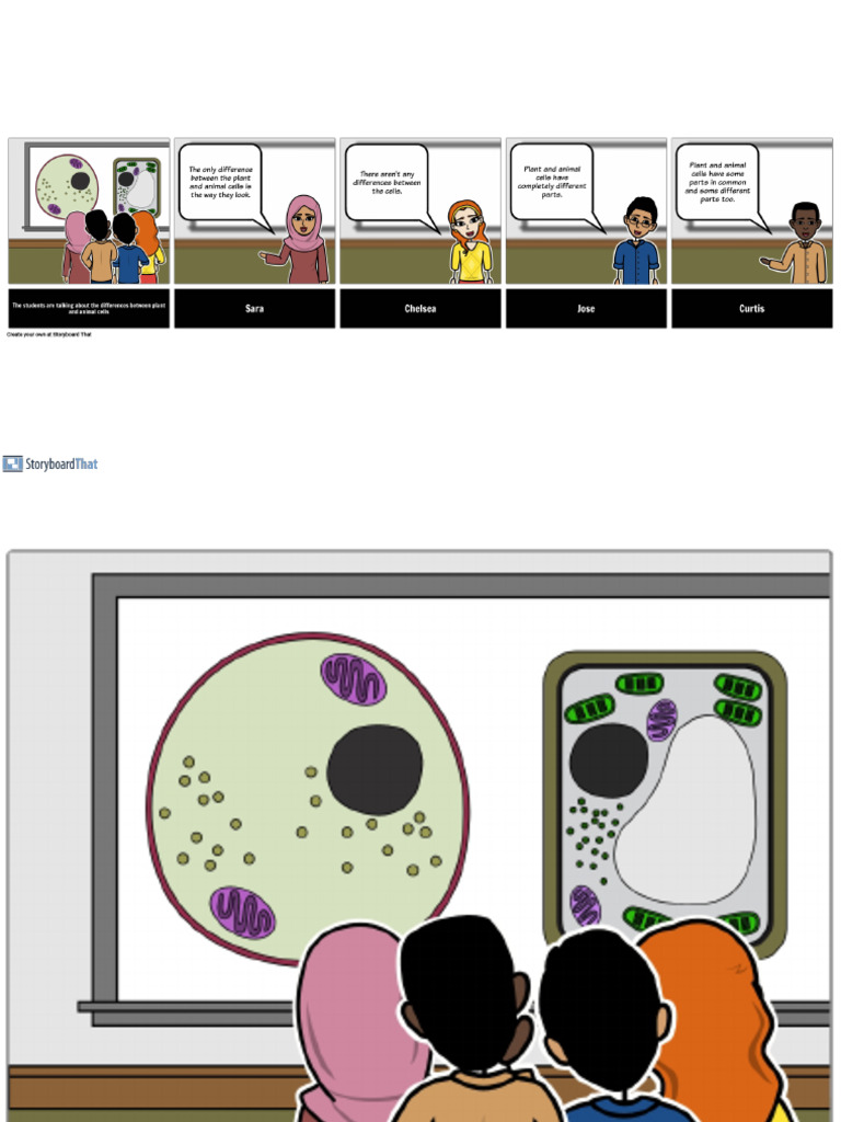Story Board Plant and Animal Cells | PDF