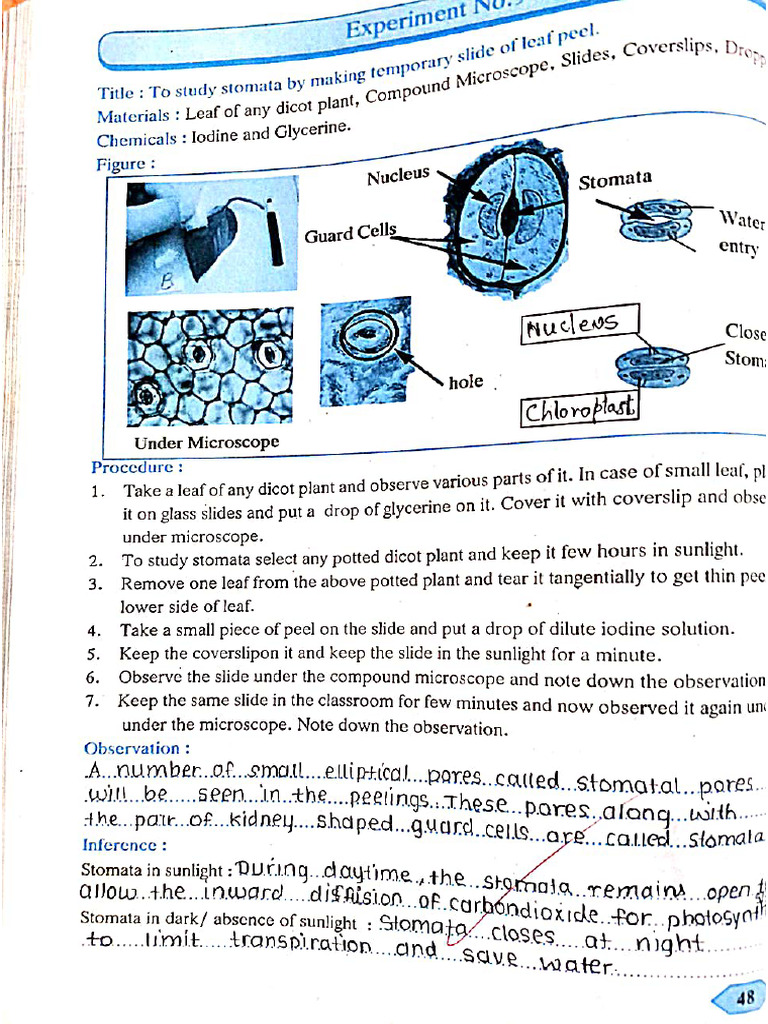 Assignment File PDF 4258 | PDF