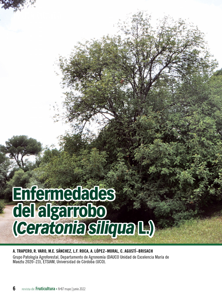 Enfermedades del Algarrobo: Síntomas y Control | PDF | Biología | Organismos