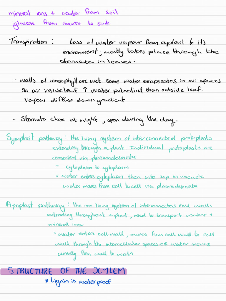 Bio transport in plants 7 | PDF