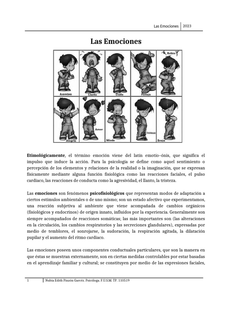 Emociones: Definición y Funciones | PDF | Las emociones | Experiencia