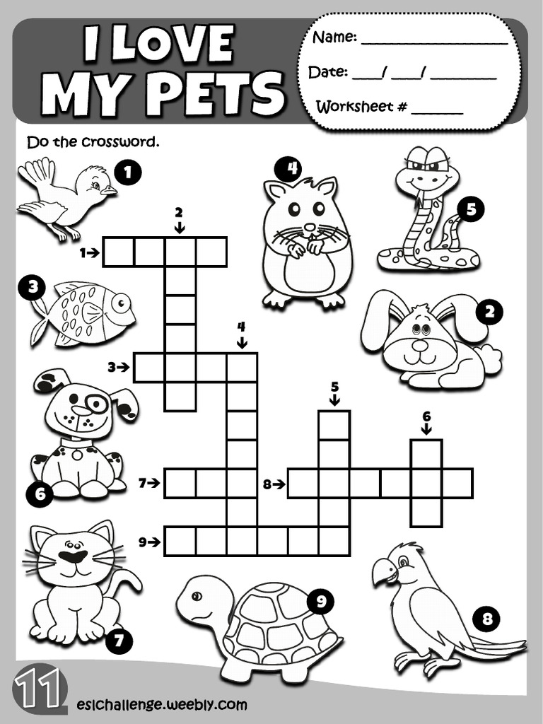 11 Pets5 | PDF