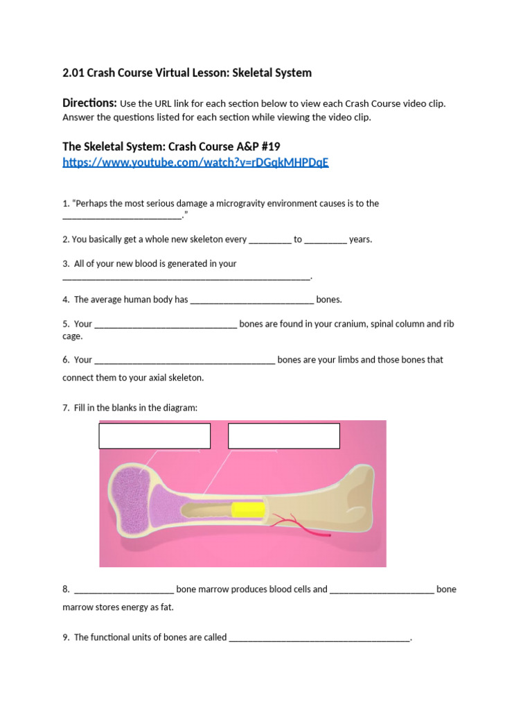 Skeletal System Crash Course Guide | PDF | Bone | Skeleton