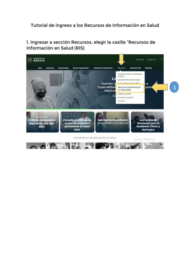 Tutorial de Ingreso A Los Recursos de Informacion en Salud - 16082024 | PDF