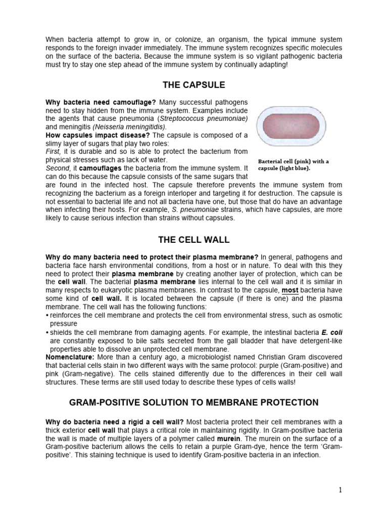 ID+2 0+lesson+1 3+Jigsaw+Reading | PDF | Bacteria | Gram Negative Bacteria