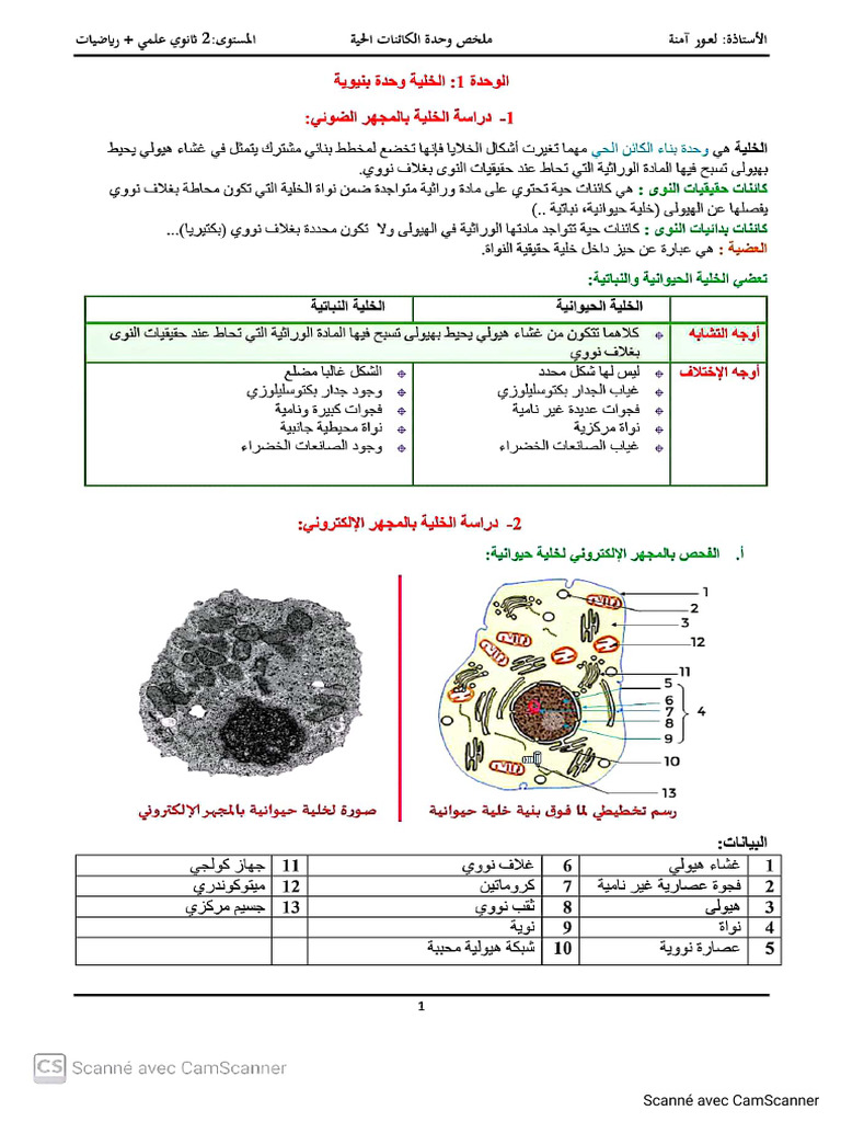الخلية وحدة بنيوية و تماثل مصادر ADN | PDF