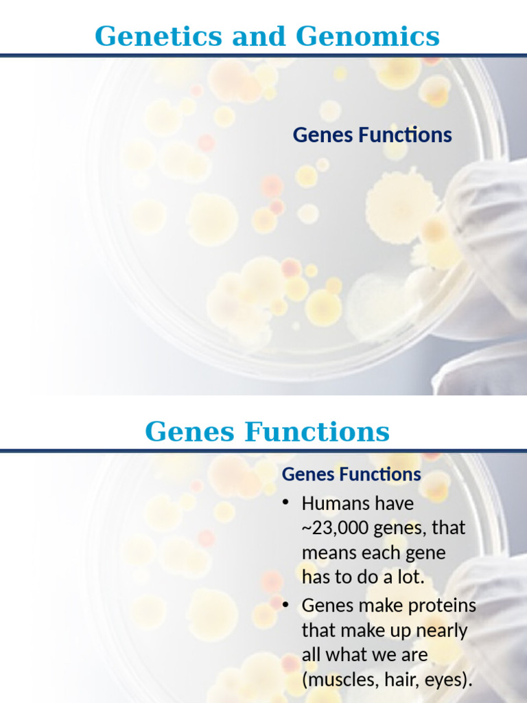204 Gene Functions | PDF