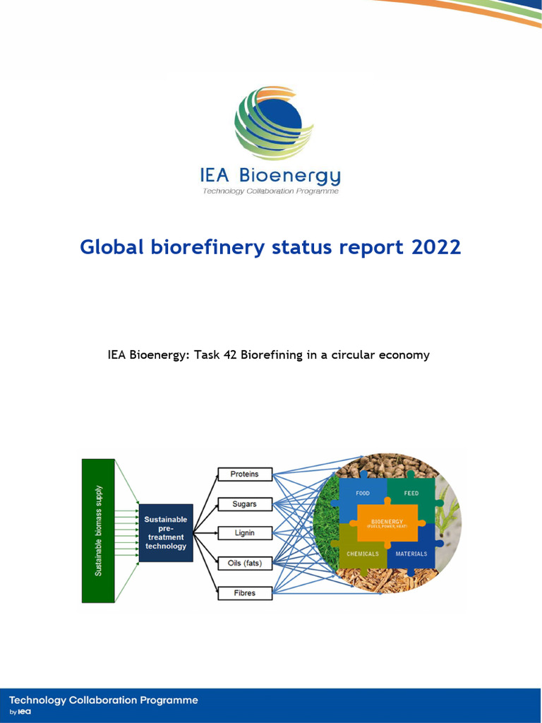 IEA Bioenergy Task 42 Global Biorefinery Status Report 2022 220712 | PDF | Biofuel | Biorefinery