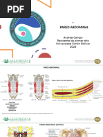 Anatomia de La Rata Externa e Interna Tacher | PDF | Riñón | Abdomen