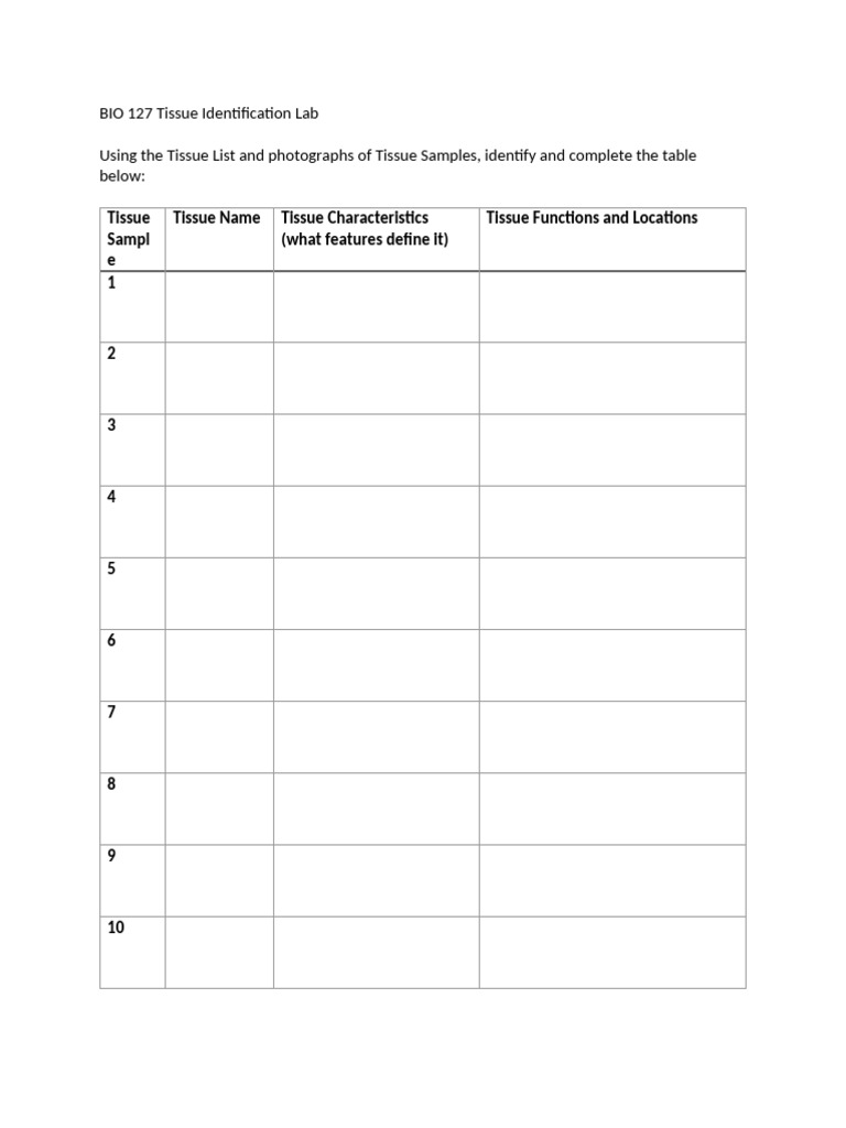Tissue Identification Lab Guide | PDF