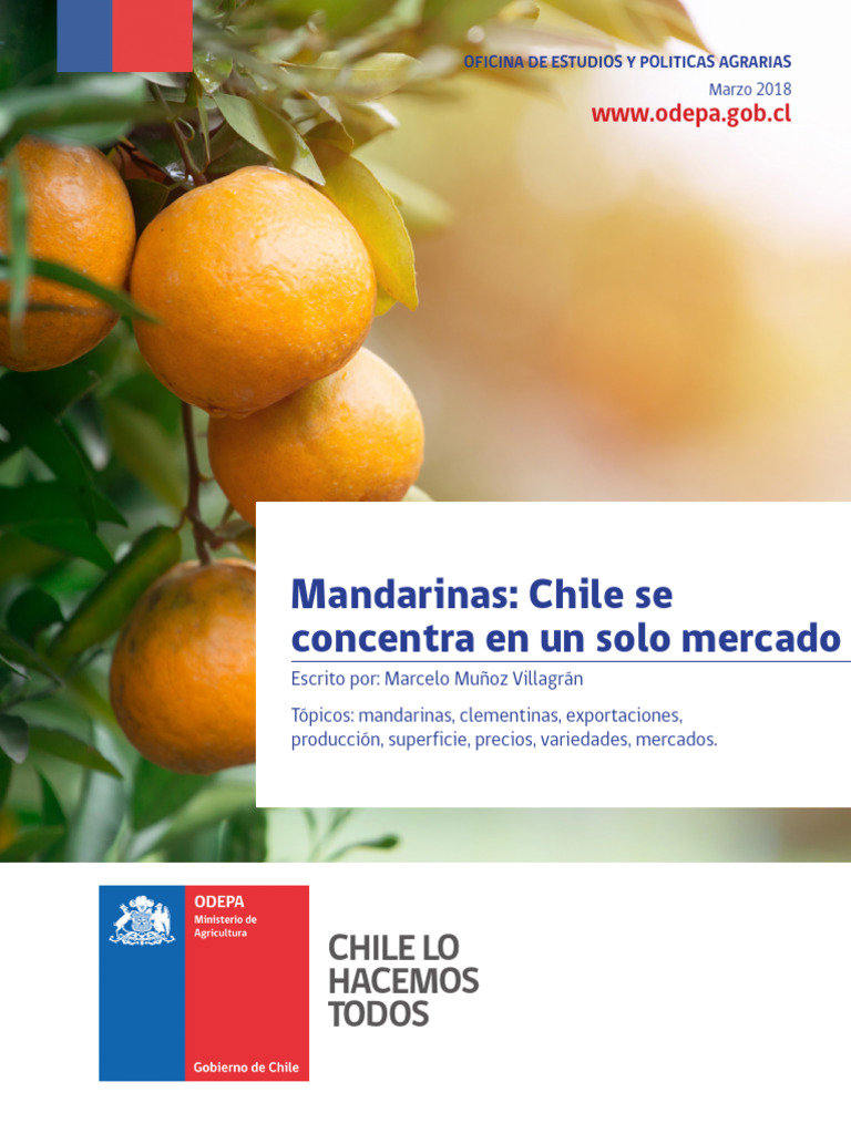 Exportaciones de Mandarinas en Chile | PDF | Agrios | Naranja)