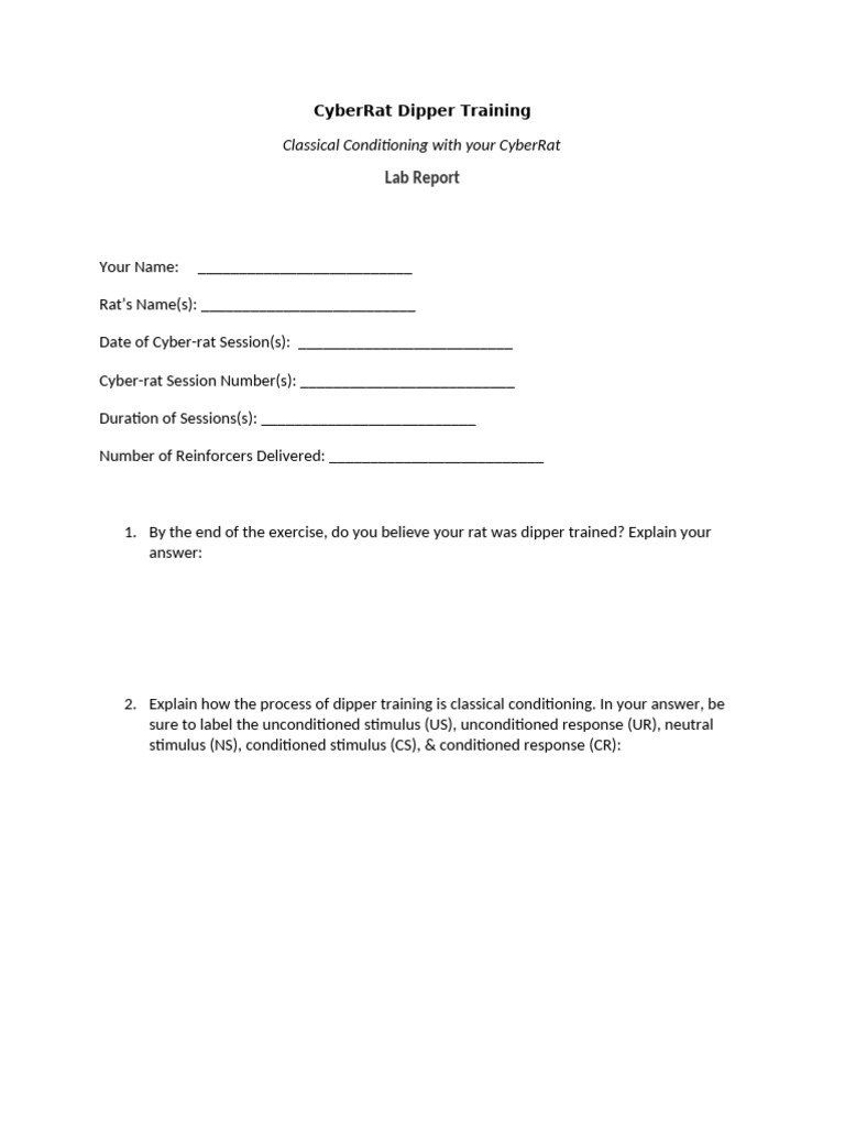 CyberRat Dipper Training Lab Report | PDF