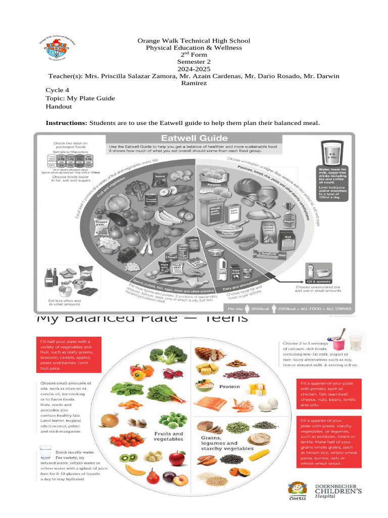 my plate guide handout | PDF