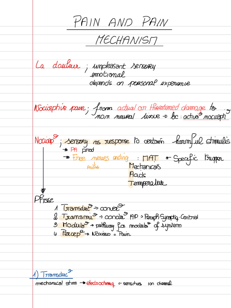 Pain Mechanism | PDF