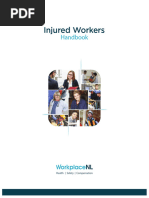 NSW Return to Work Program Guidelines | PDF | Employment | Occupational ...