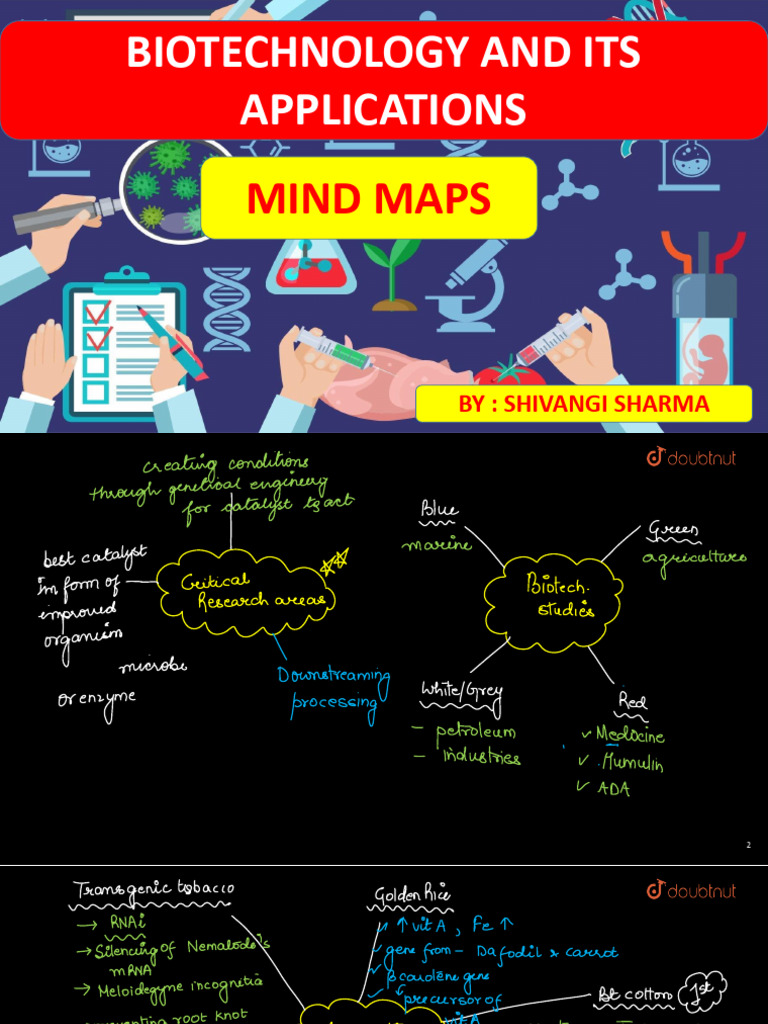 Mind Map Biotechnology and It's Applications BIOLOGY CLASS 12 CBSE | PDF
