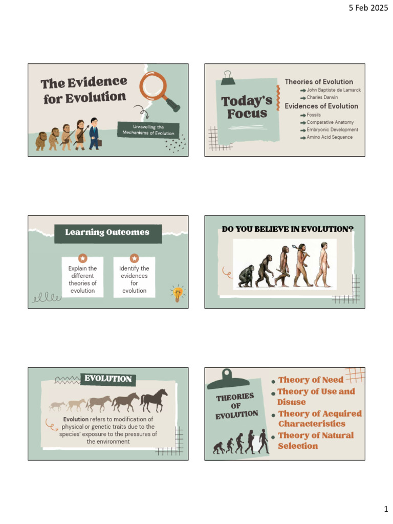 Theories and Evidence of Evolution | PDF | Evolution | Biology