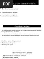 Circulatory System of Frog | PDF | Heart | Atrium (Heart)