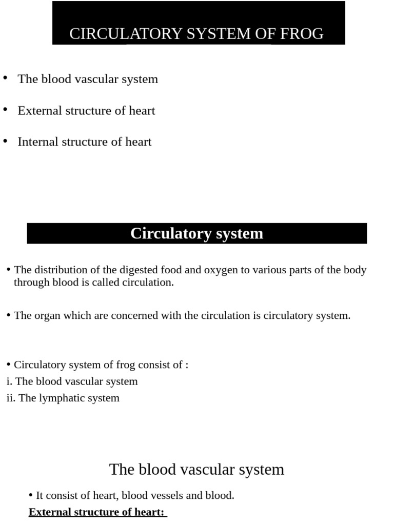 Frog Circulatory System Guide | PDF | Heart Valve | Heart