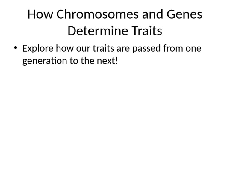 Chromosomes Genes Traits Presentation Retry | PDF