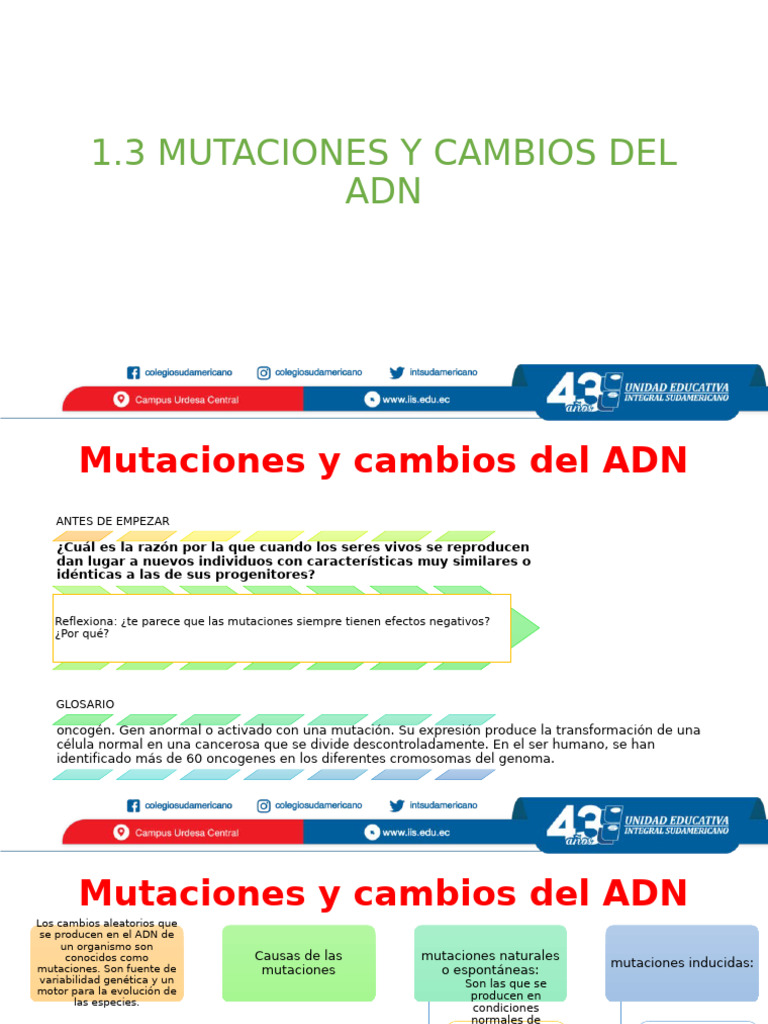 Mutaciones y Cambios en el ADN | PDF | Mutación | Adn
