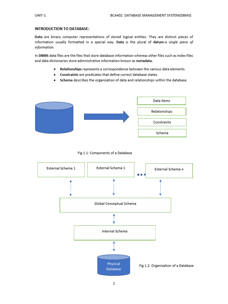 Unit 1 | PDF | Databases | Relational Database