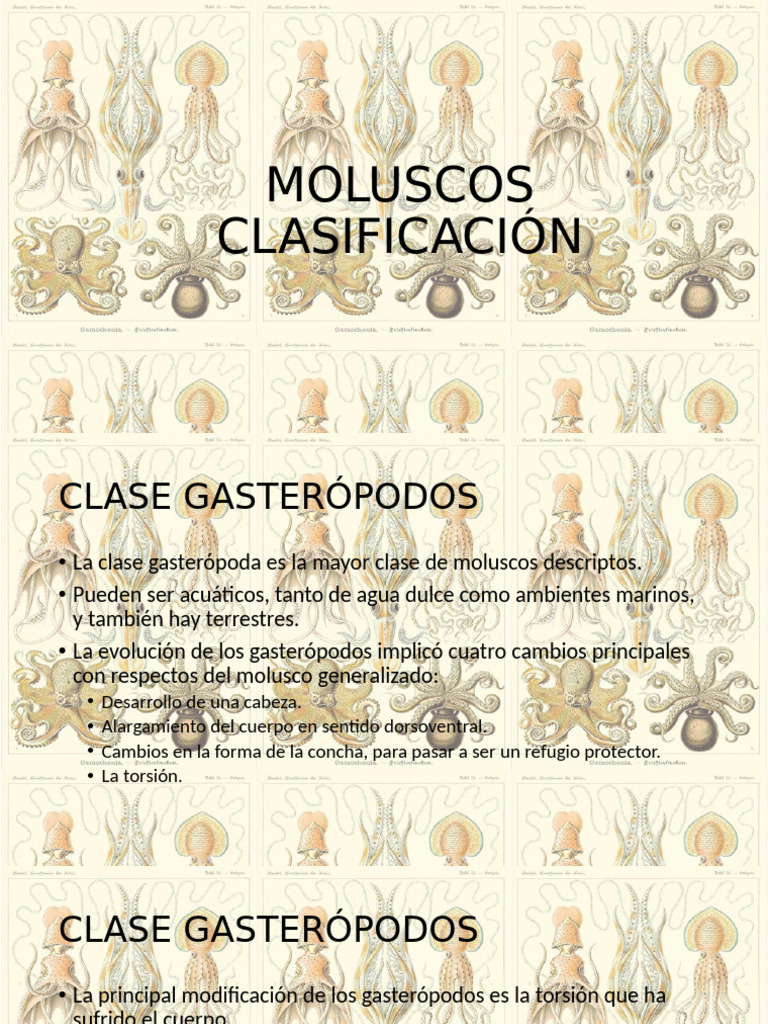 Moluscos | PDF | Moluscos | Bivalvia